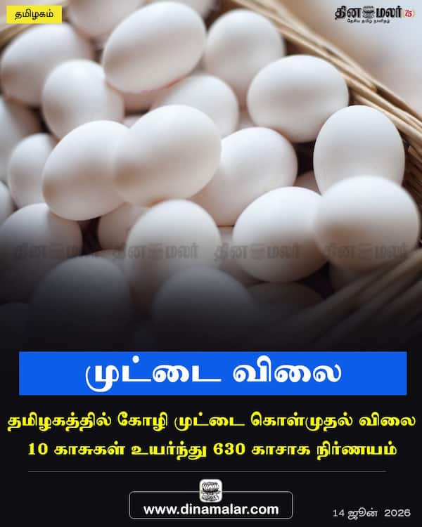 முட்டை விலை