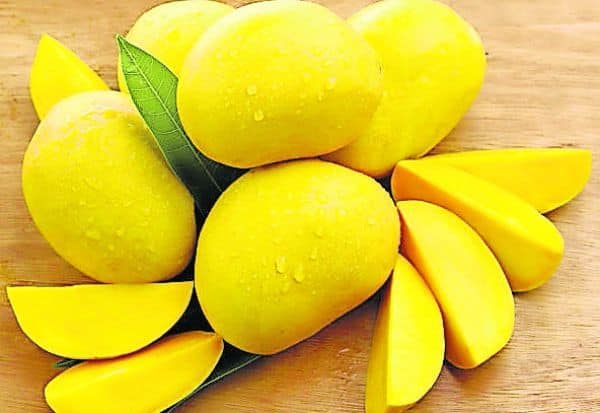 செயற்கையாக பழுக்கும் மாம்பழம்: உணவு ஆணையம் எச்சரிக்கை