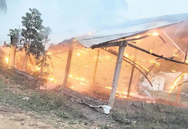 கோழி பண்ணையில் தீ