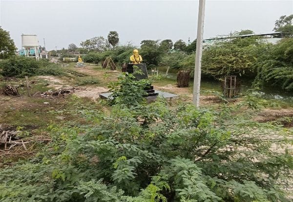 பராமரிப்பில்லாமல் பயனற்ற நிலையில் சித்தார்கோட்டை சமத்துவபுரம் பூங்கா