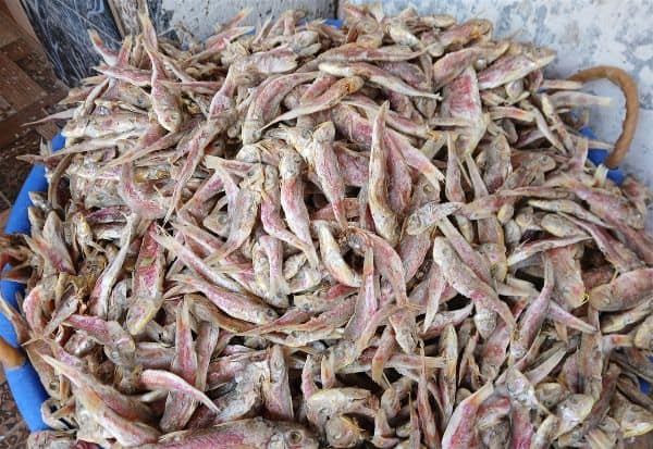 தடைக்காலம் காரணமாக கருவாடு வரத்து குறைவால்... ﻿விற்பனை டல் :முதலீட்டை ...