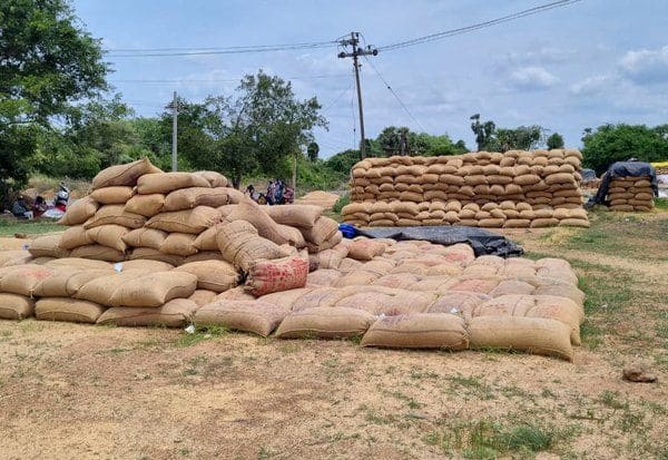 நெல் கொள்முதல் நிலையத்தில் 2,000 மூட்டைகள் தேக்கம்